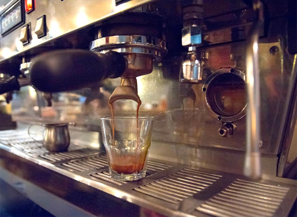 Zanzibar's Coffee Adventure Bean Ordering